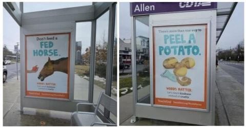 Feed Two Birds With One Scone: PETA Boosts Animal-Friendly Idioms in ...
