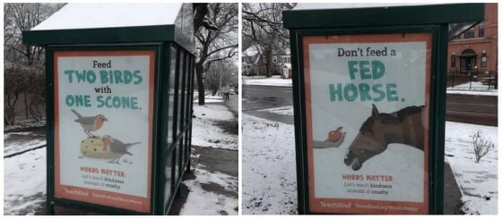 Feed Two Birds With One Scone: PETA Boosts Animal-Friendly Idioms in ...